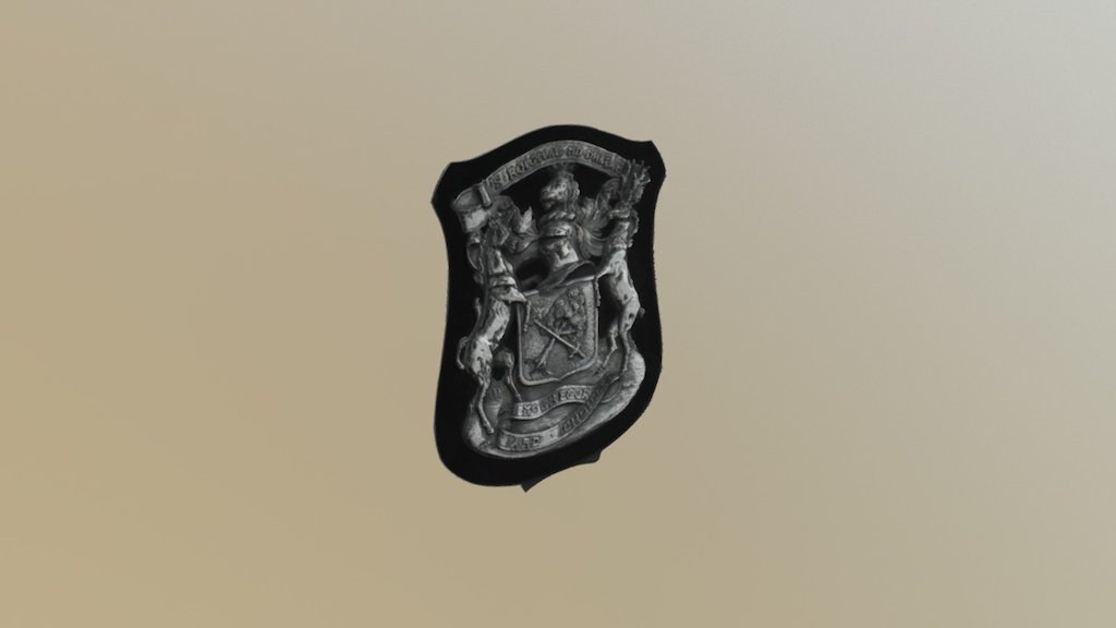 Depth Map - 3D model by rollercoasternz [f7b285f] - Sketchfab