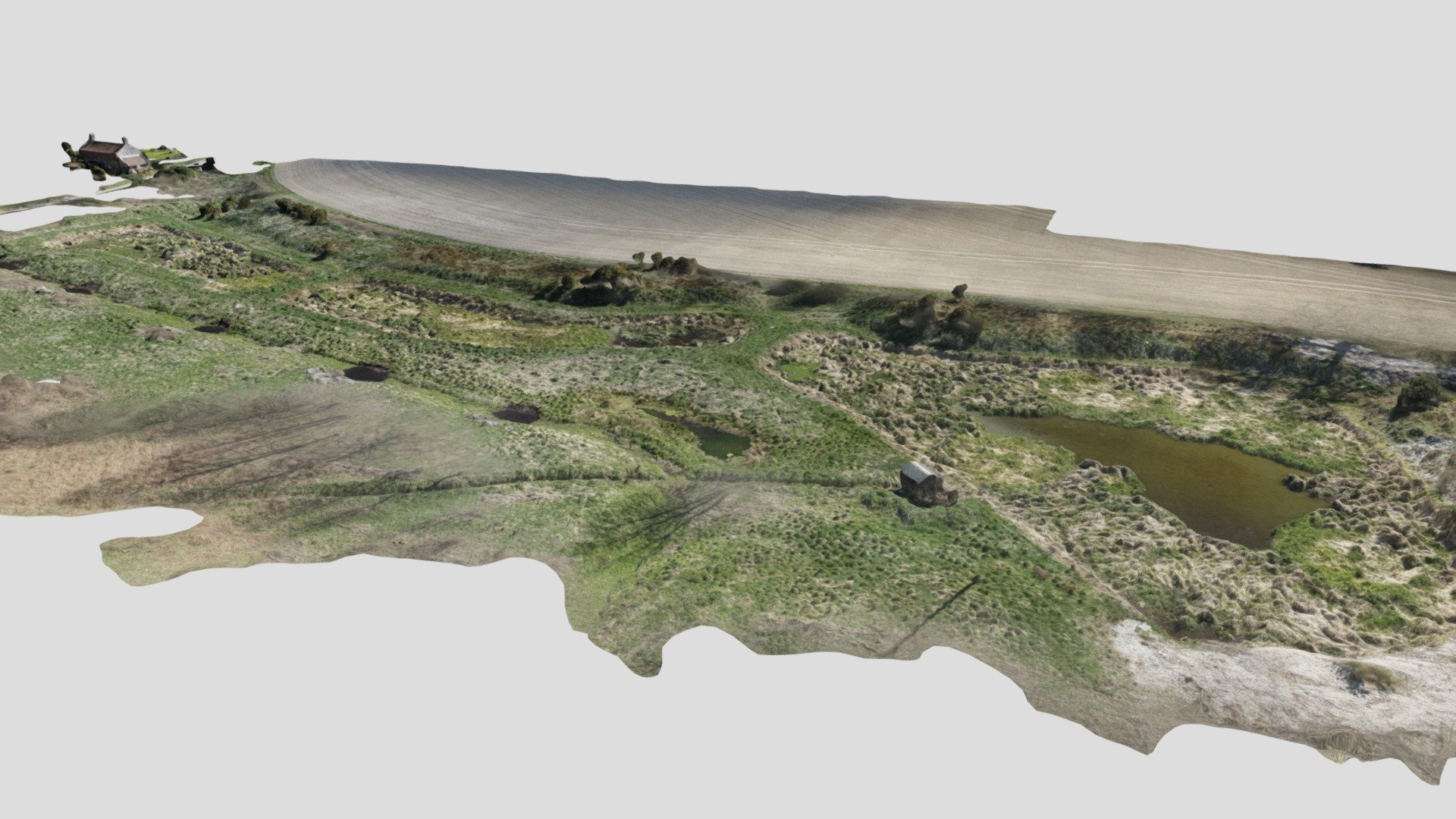 Frogshall - 3D model by a.smart [f7b66d5] - Sketchfab