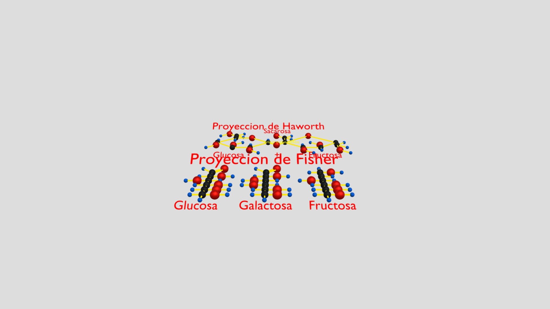 Bioquimica Monosacaridos(hexosas) y Disacarido - Download Free 3D model ...