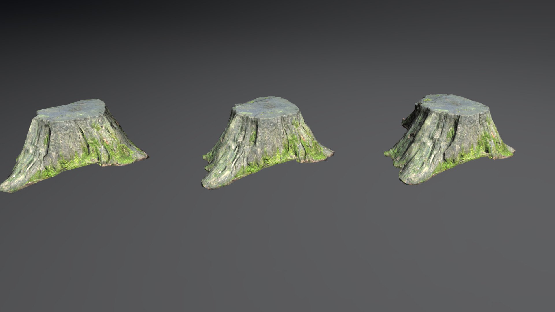 Stump 1 - 3D model by matit333 [f7c60e9] - Sketchfab