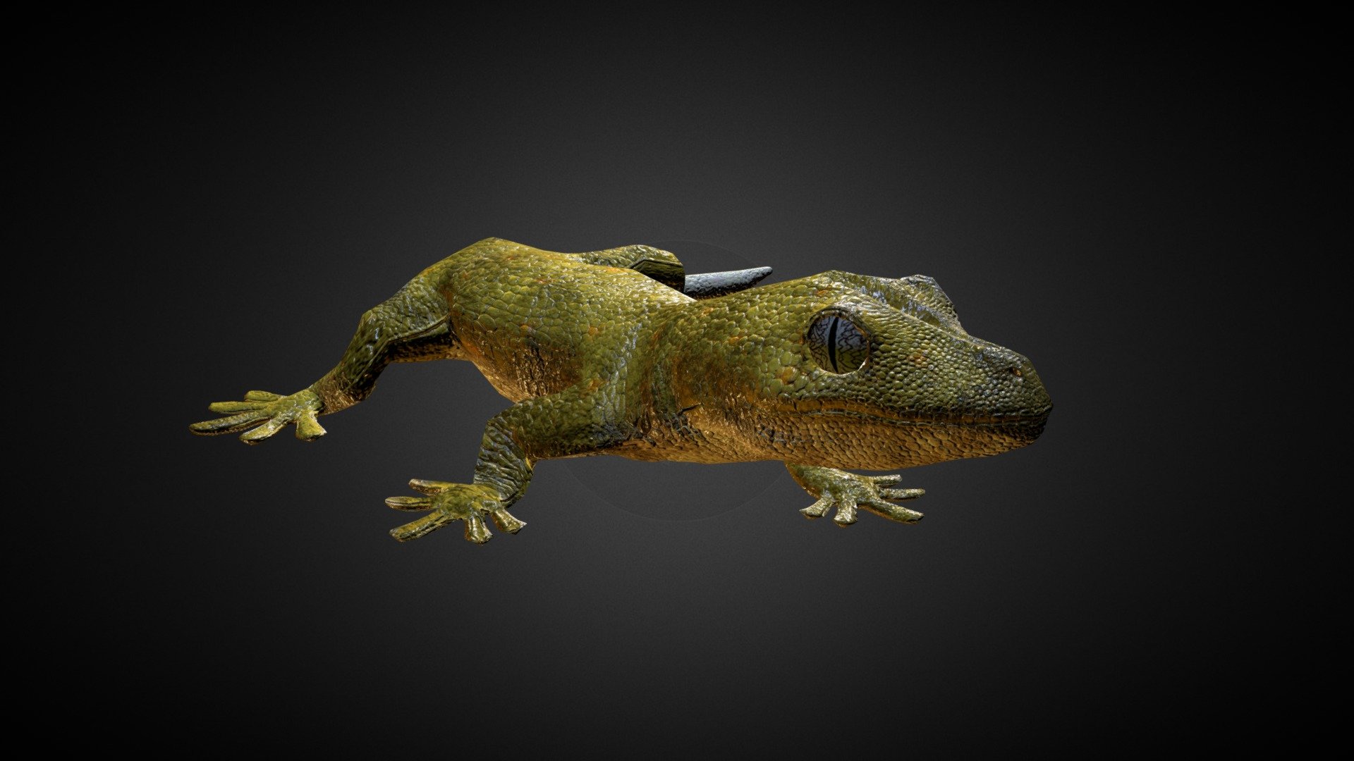 Gekko - 3D model by MitSuKi (@mitsuki_33) [f7c95b1] - Sketchfab