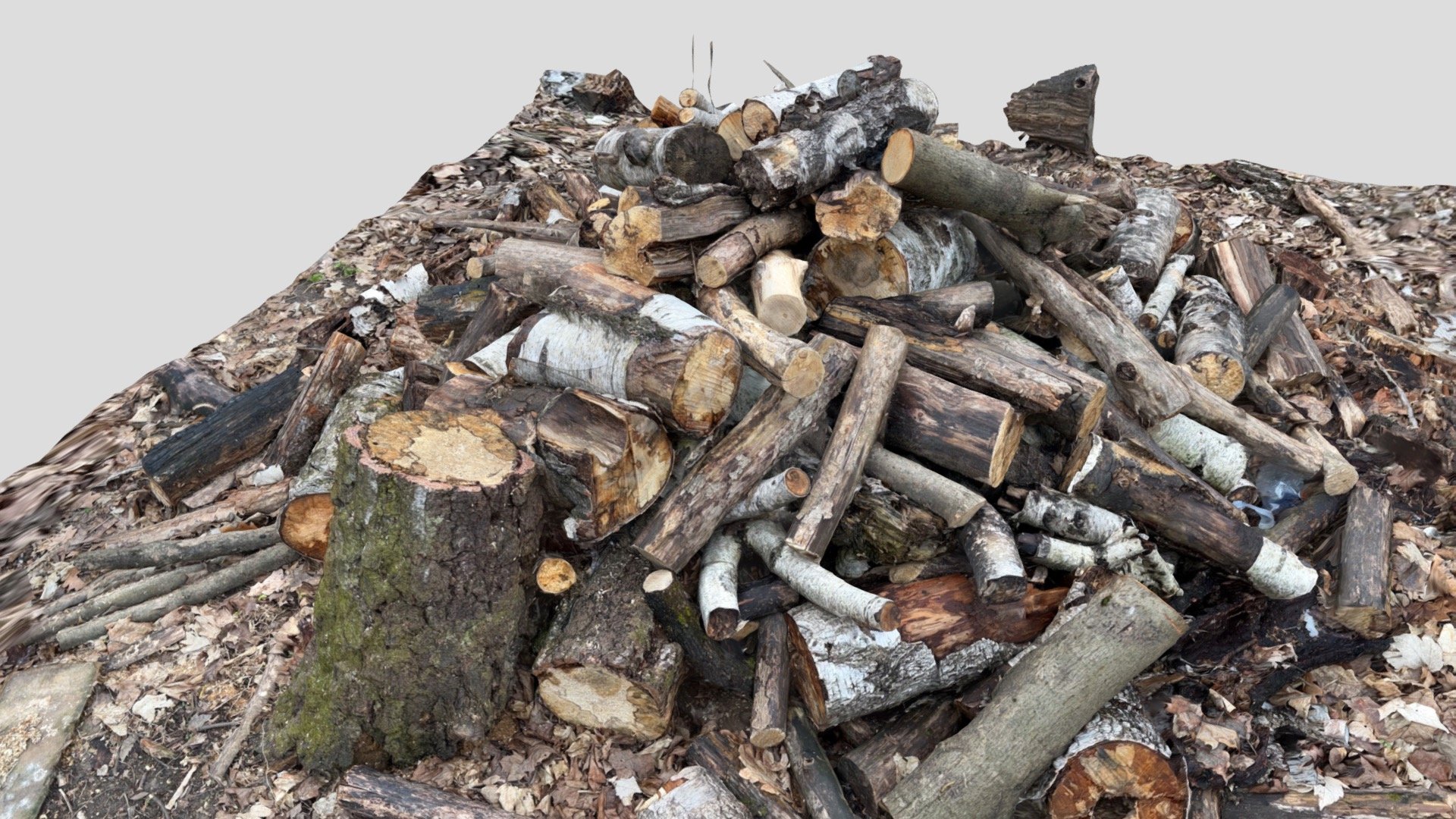 Random firewood pile - Download Free 3D model by ScanMe [f7cae1b ...
