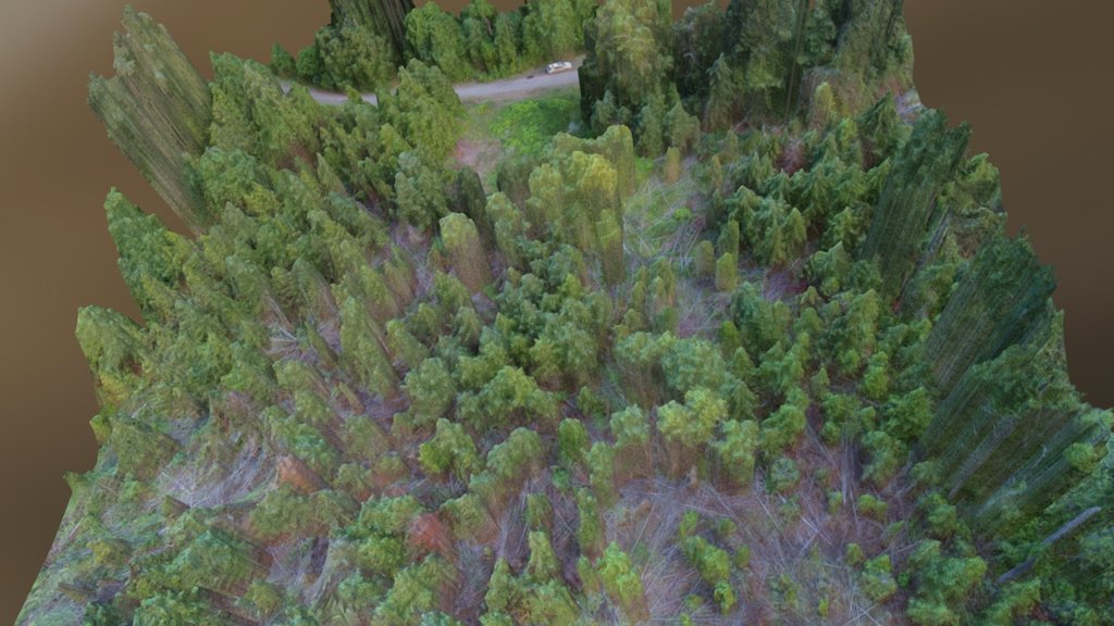 Forestry timber trespass - 3D model by John Bornsworth ...