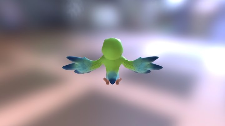 Parakeet 3D models - Sketchfab