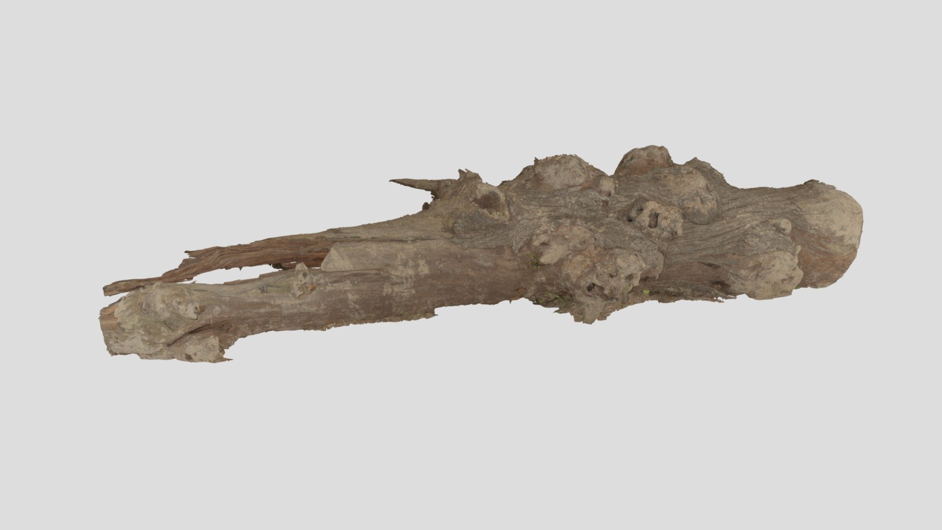 fallen trunk - Download Free 3D model by SyntaX (@syntaxcg) [f7e145a ...