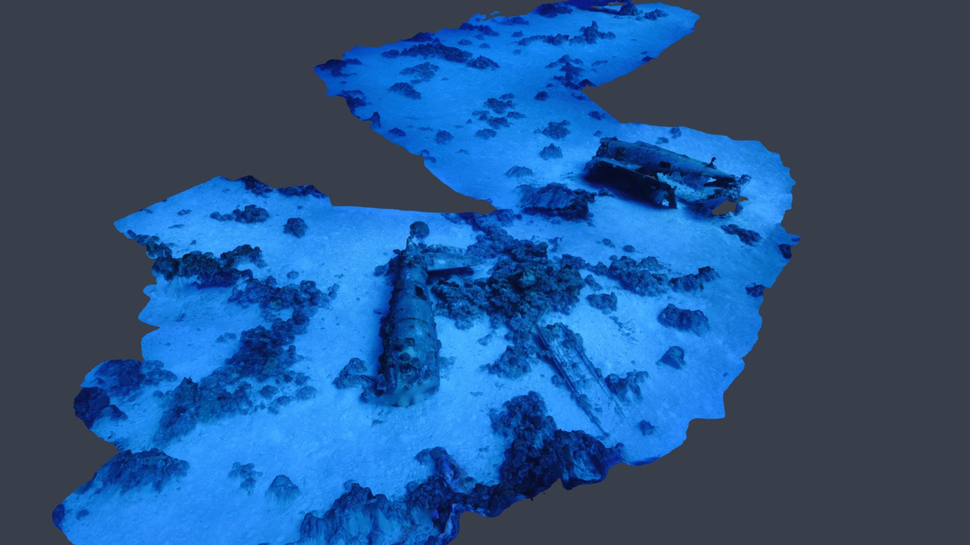 20181229 - Wildcats - 3D model by cybersimian [f7e437a] - Sketchfab
