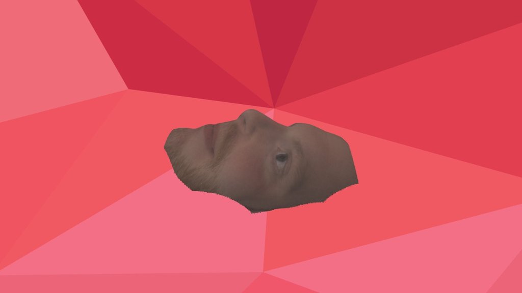 Face Scan 2 - Download Free 3D model by 3D Hubs (@3dhubs) [f7e540f ...