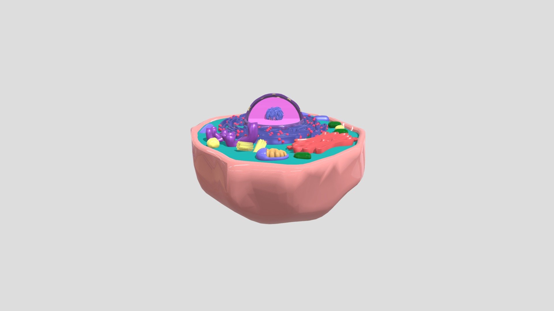 komórka - 3D model by so_maks [f7e9639] - Sketchfab