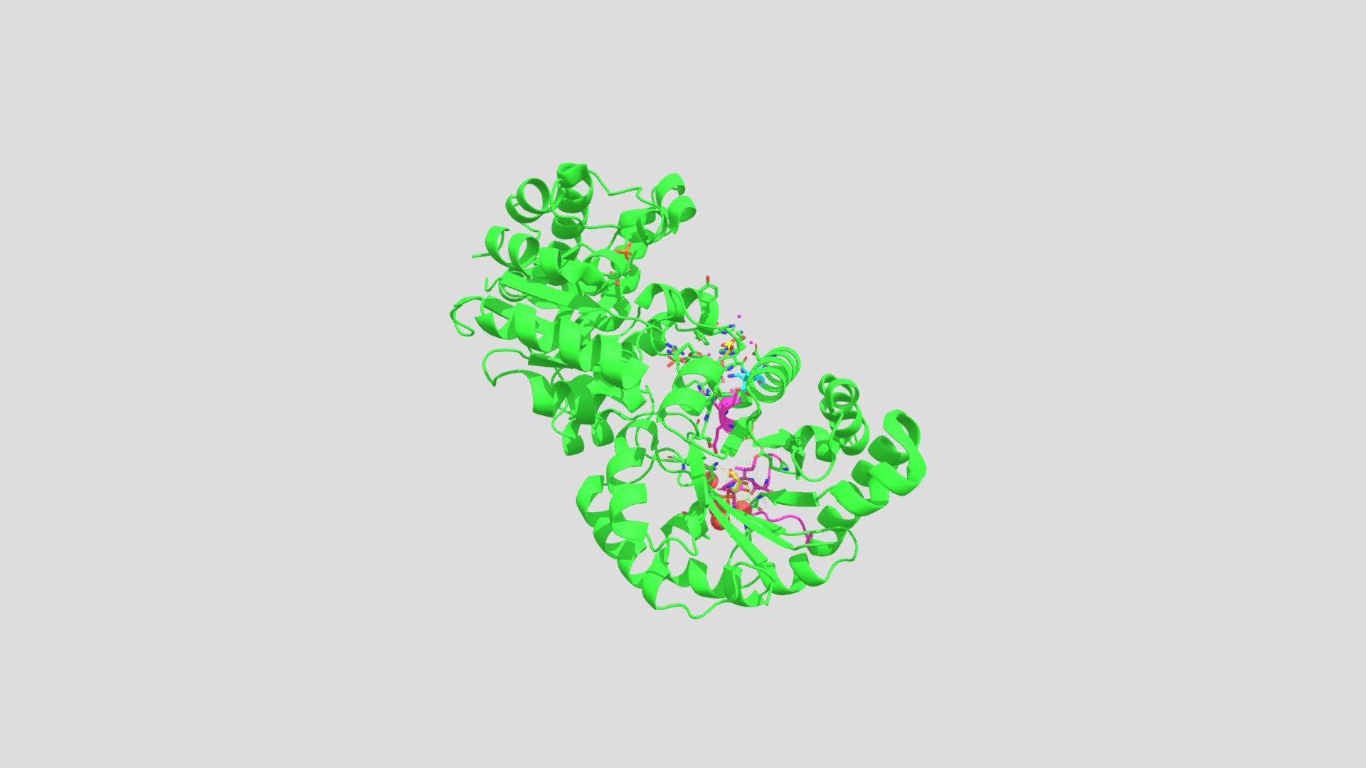 Pftim Pymol Model 3d Model By Danflyger [f7eeddf] Sketchfab