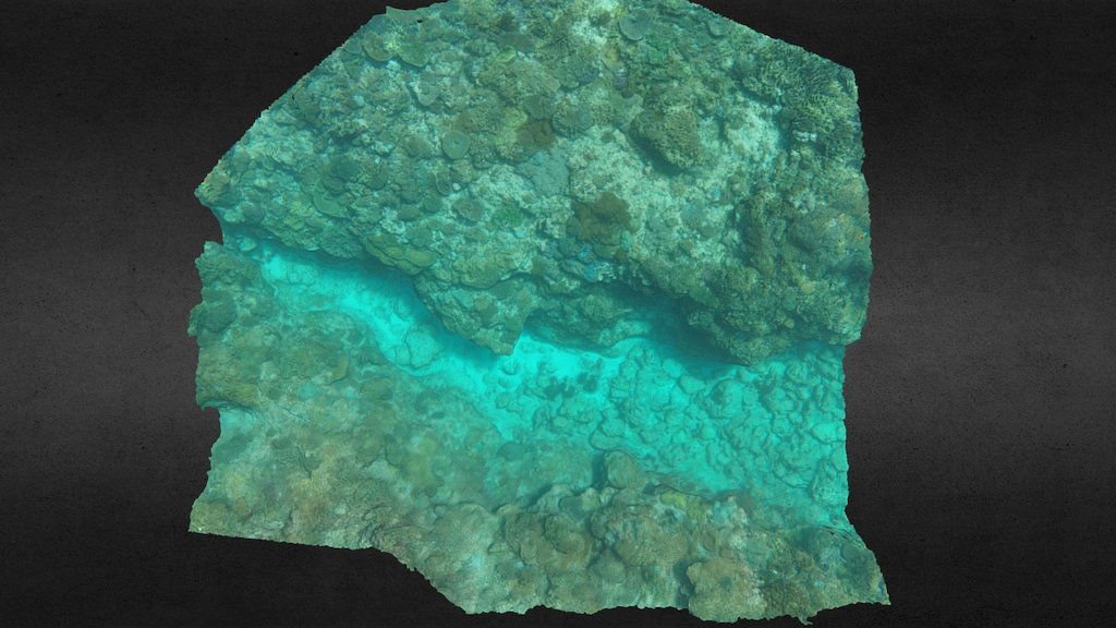 Coral Reef Patch One Tree Island - 3D model by SubScape3D (@augustine ...