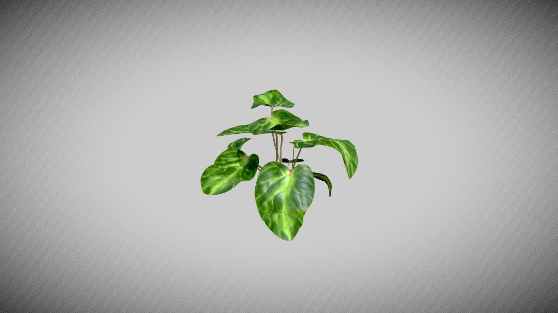 plants - 3D model by Dariesta [f7f6966] - Sketchfab