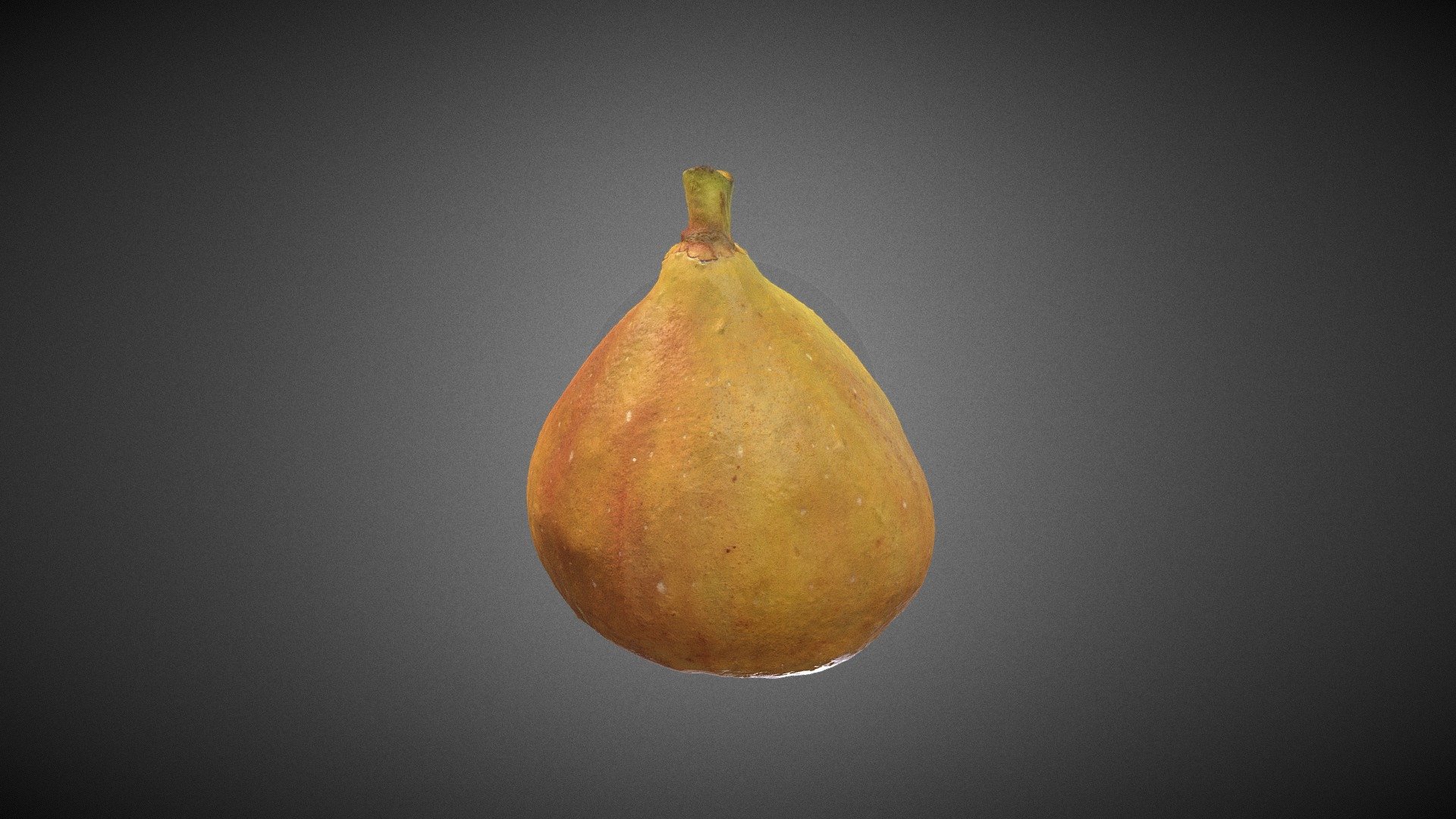 Fig - Download Free 3D model by NAMAHAGE 120% (@hiroyuki.ogata1 ...