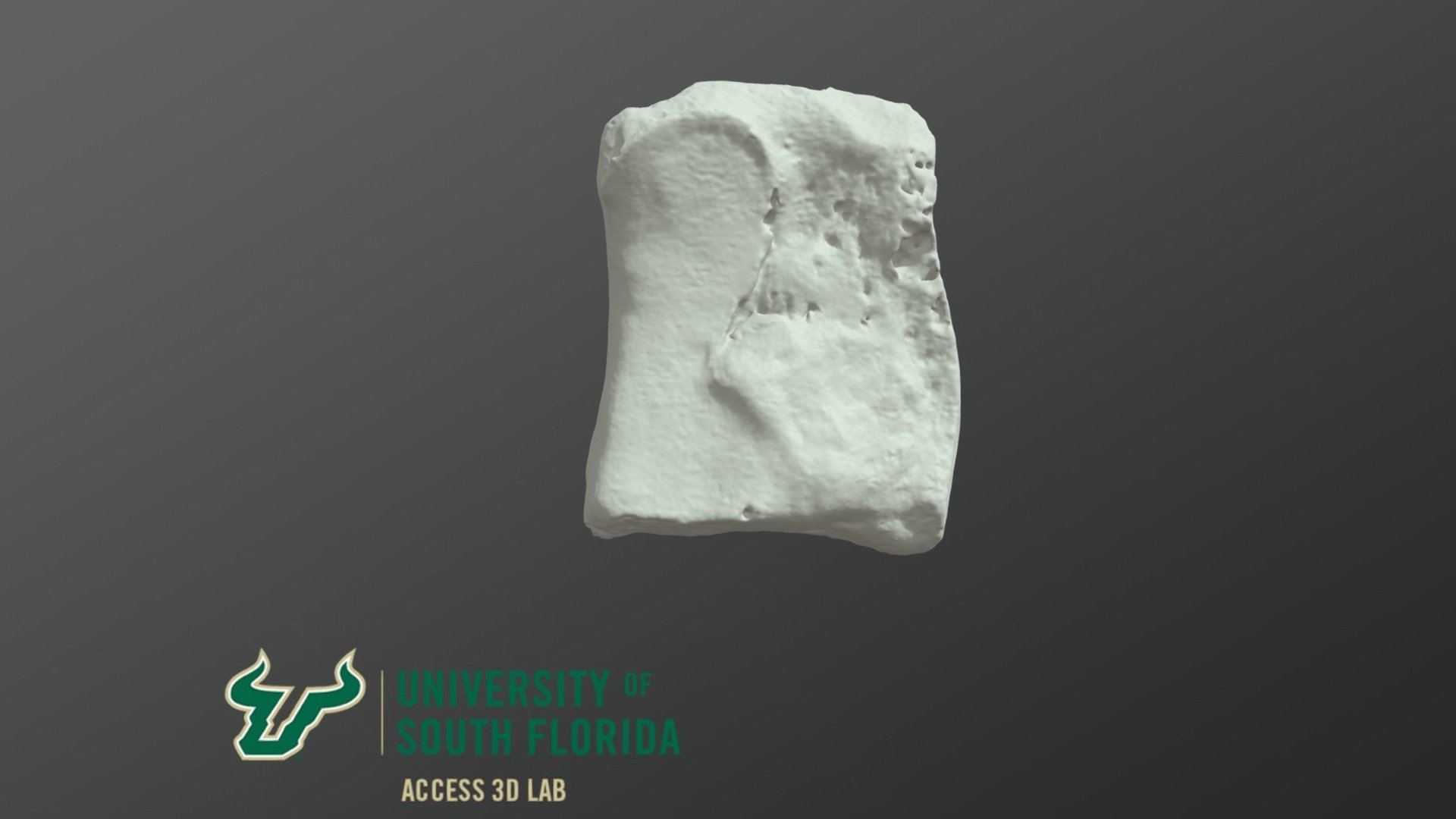 Left Cuneiform 2 (90) - 3D model by access3d [f7fbf7d] - Sketchfab