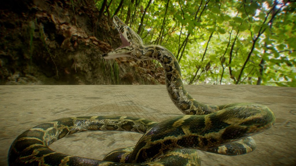 Snake - 3D model by vrr [f7fe3d7] - Sketchfab