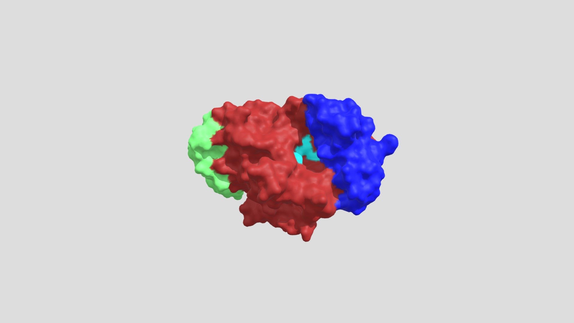 Human salivary alpha-amylase function - Download Free 3D model by ...