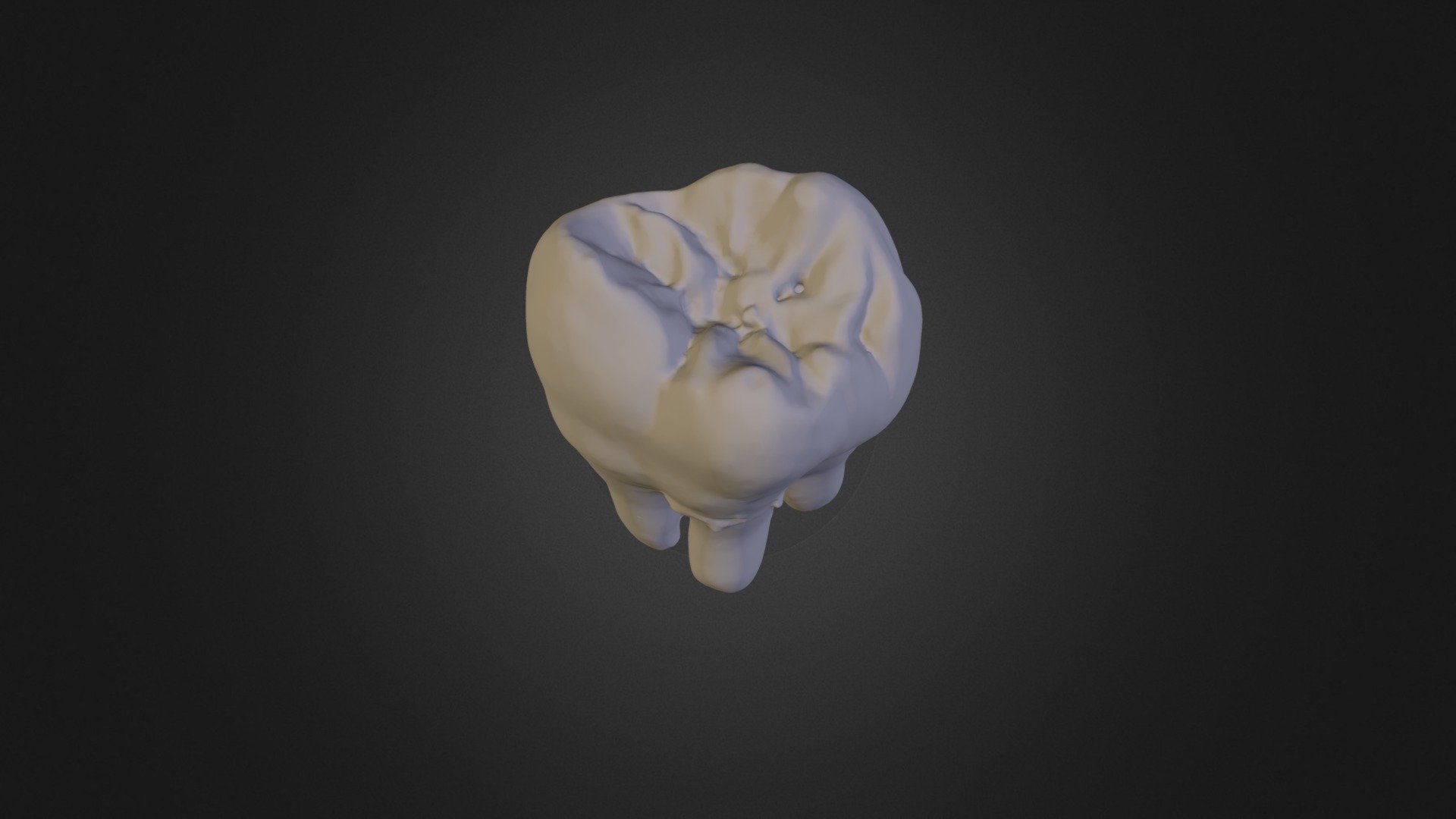 Tooth 1 - 3D model by theobshop [f80ba9c] - Sketchfab