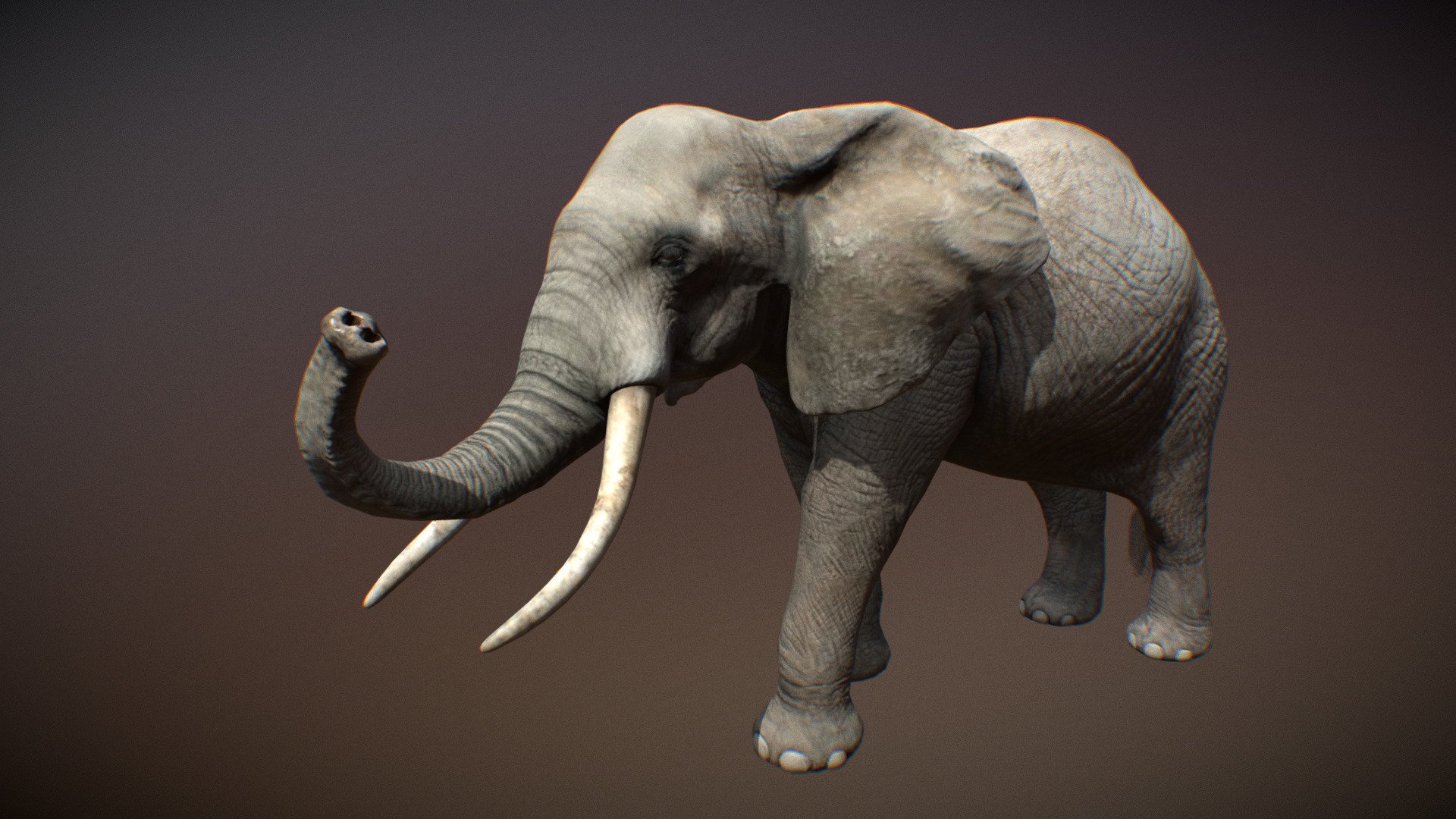 Animalia - African Elephant (male) - 3D model by GiM (@GamesInMotion ...