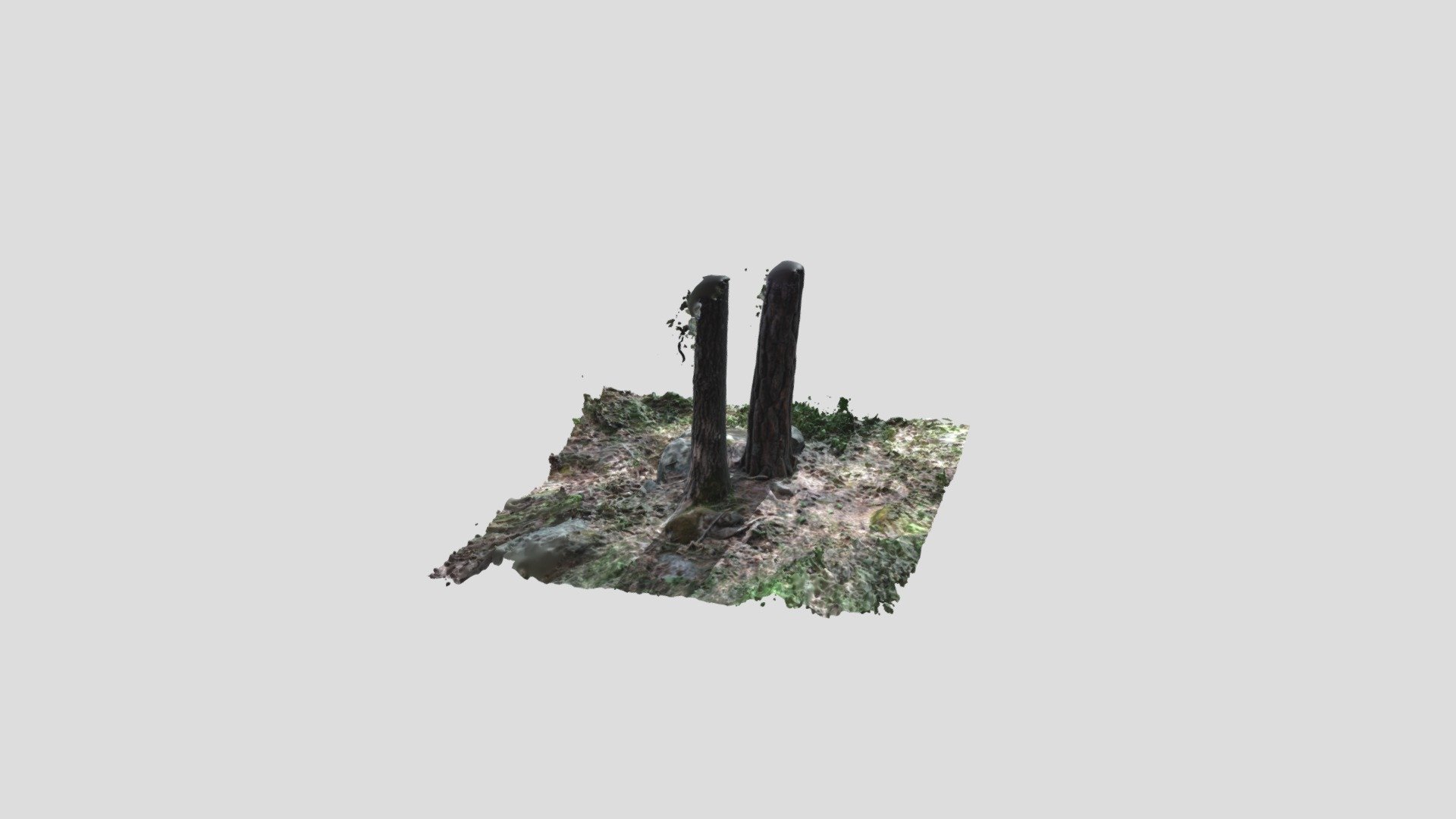 FOA1-04-DW-2021-59_69-10_55 - 3D model by Forest Object Archive ...