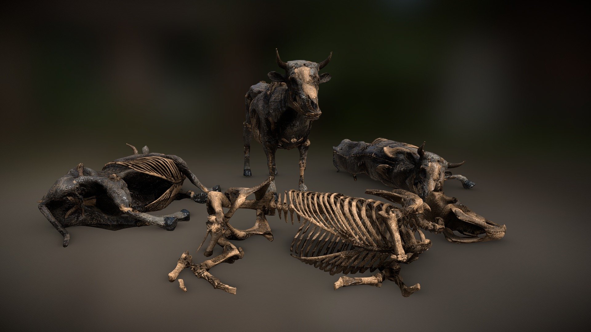 Dead Cows - 3D model by ber.vendel.design [f8170d8] - Sketchfab
