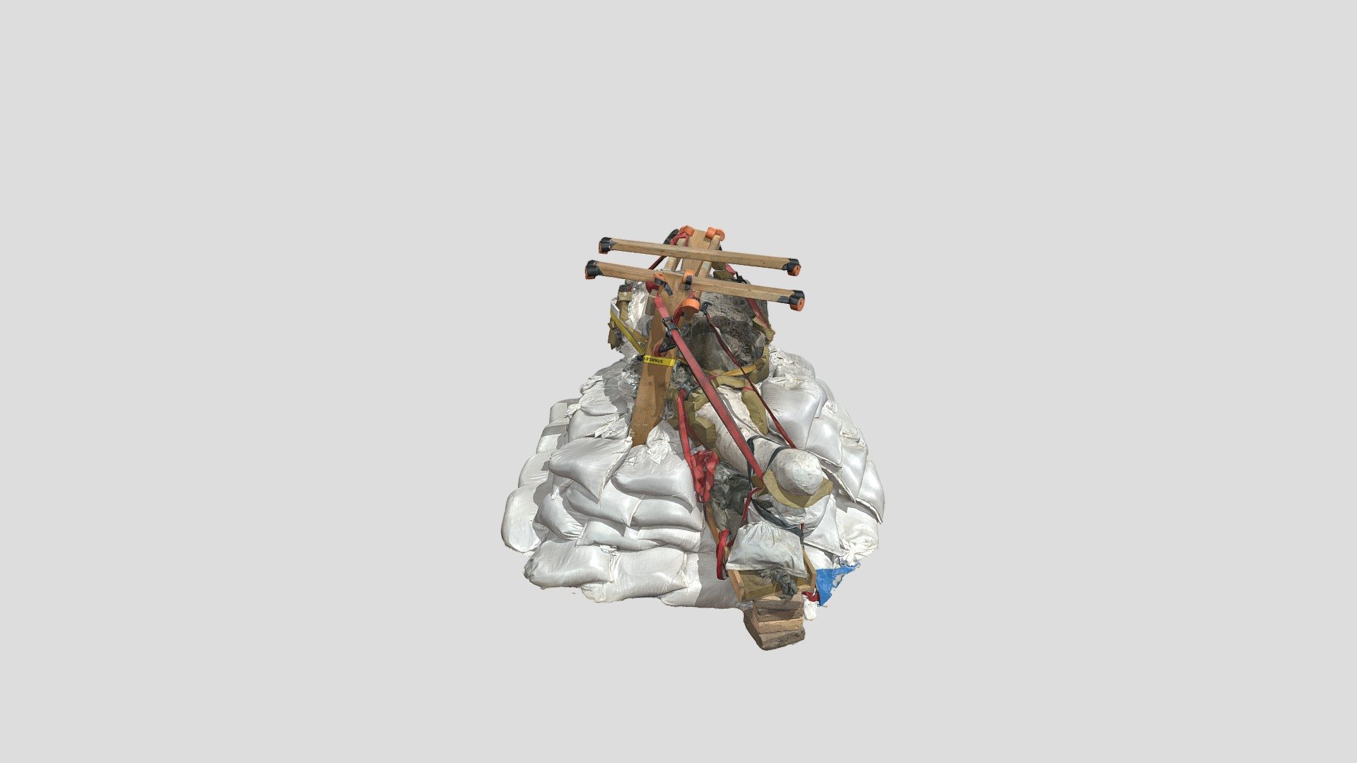 Mastodon Skull (Preservation in progress) - 3D model by ...