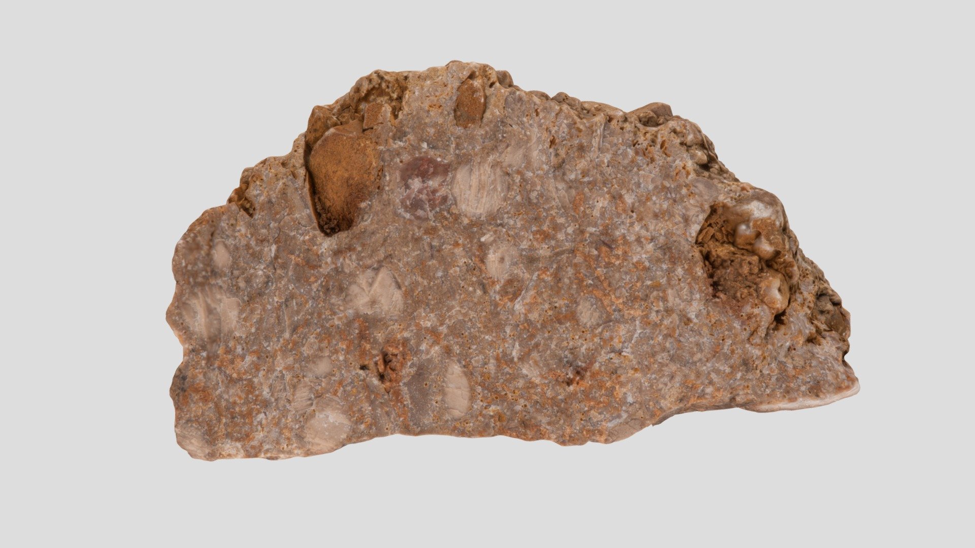 Calcaire à entroques - Download Free 3D model by yannhautevelle ...