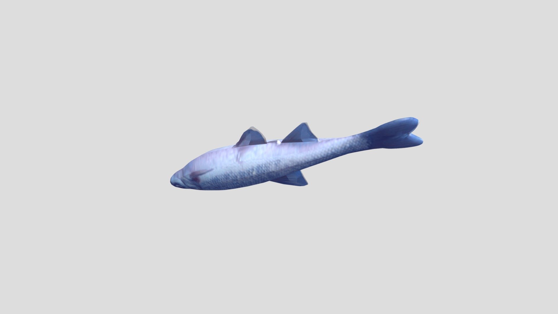 Blender_ Project_ Tu - Download Free 3D model by luvluvdt33 [f826bd4 ...