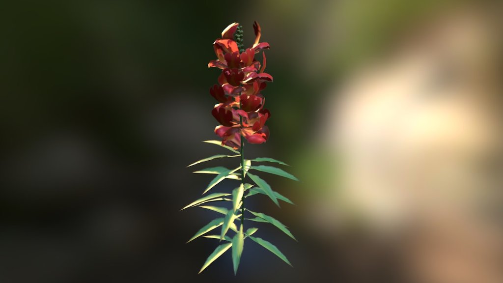 Snap Dragon Red - 3D model by Snweos [f826ec6] - Sketchfab