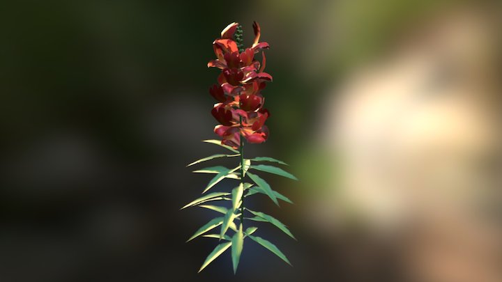 Snap-dragon 3D models - Sketchfab