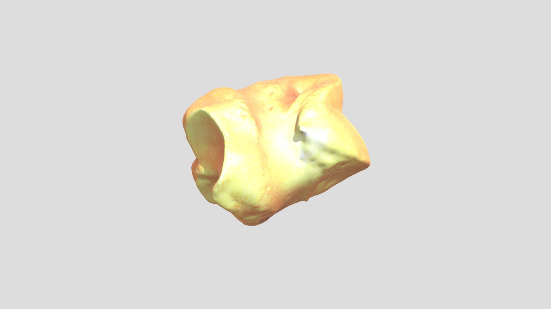 Sus scrofa (pig) - L posterior phalanx II - 3D model by ...
