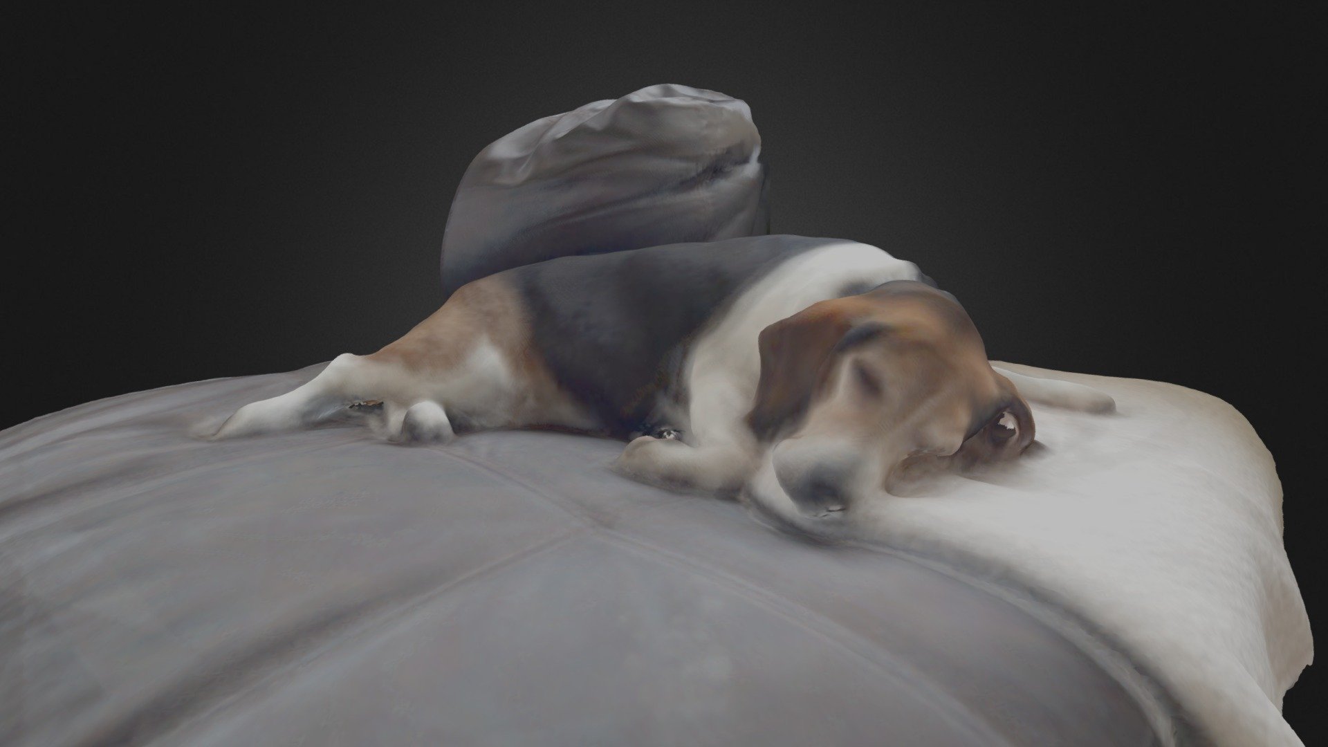 The @BoulderBeagle Rests - 3D model by Henry Koren (@hkoren) [f8356a2] - Sketchfab