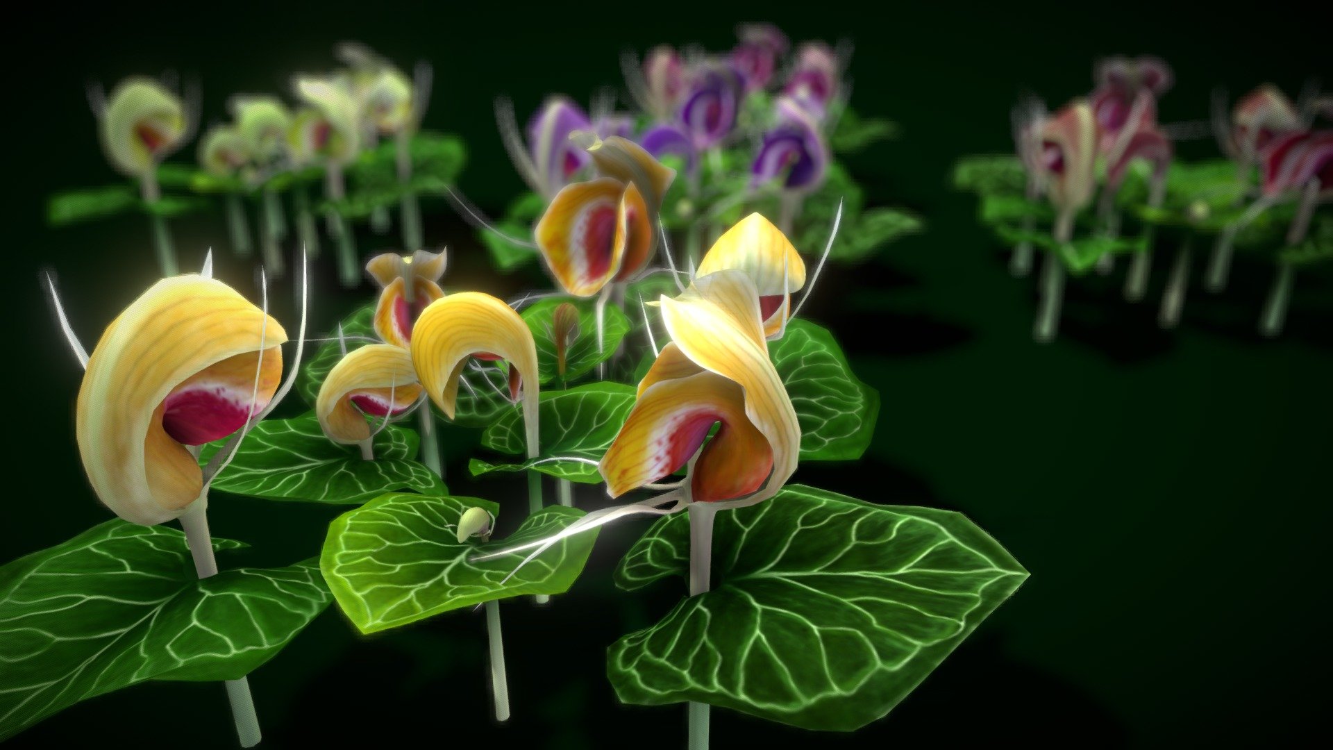 Flower Corybas Sinii - Buy Royalty Free 3D model by vustudios [f8375dc ...