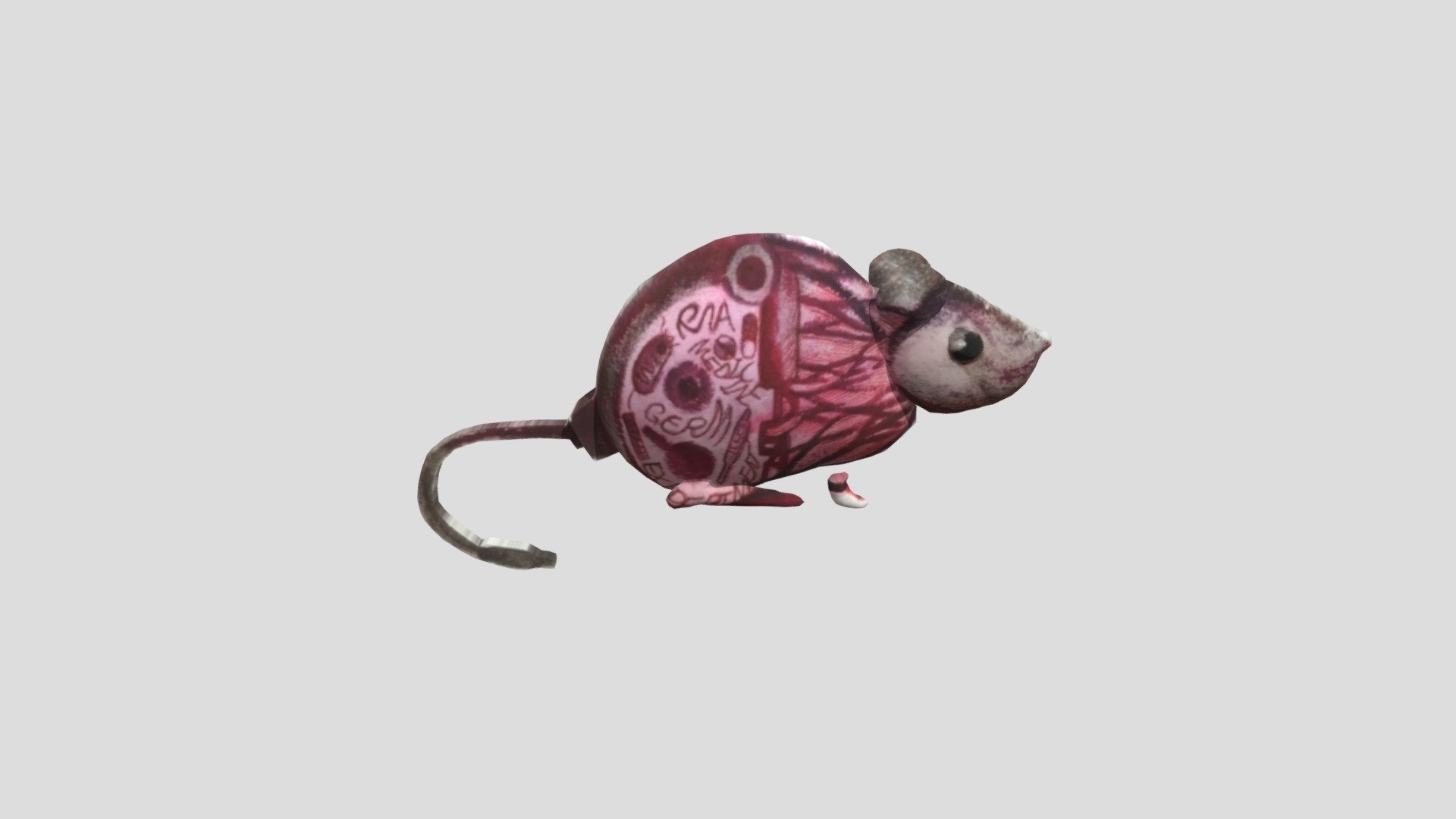 mouse - 3D model by aotu0615 [f83b38d] - Sketchfab