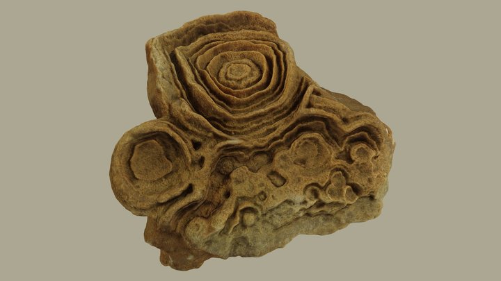 Desert-rose 3D models - Sketchfab