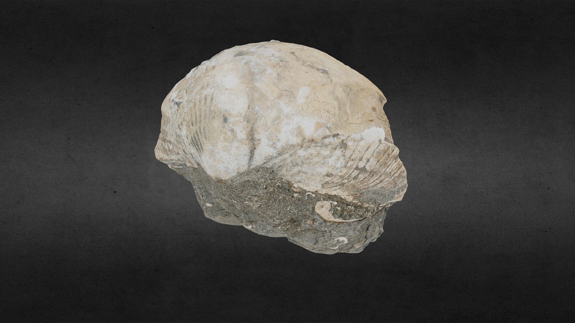 Sample 6 - Download Free 3D model by Interstellar Simian (@interstellar ...