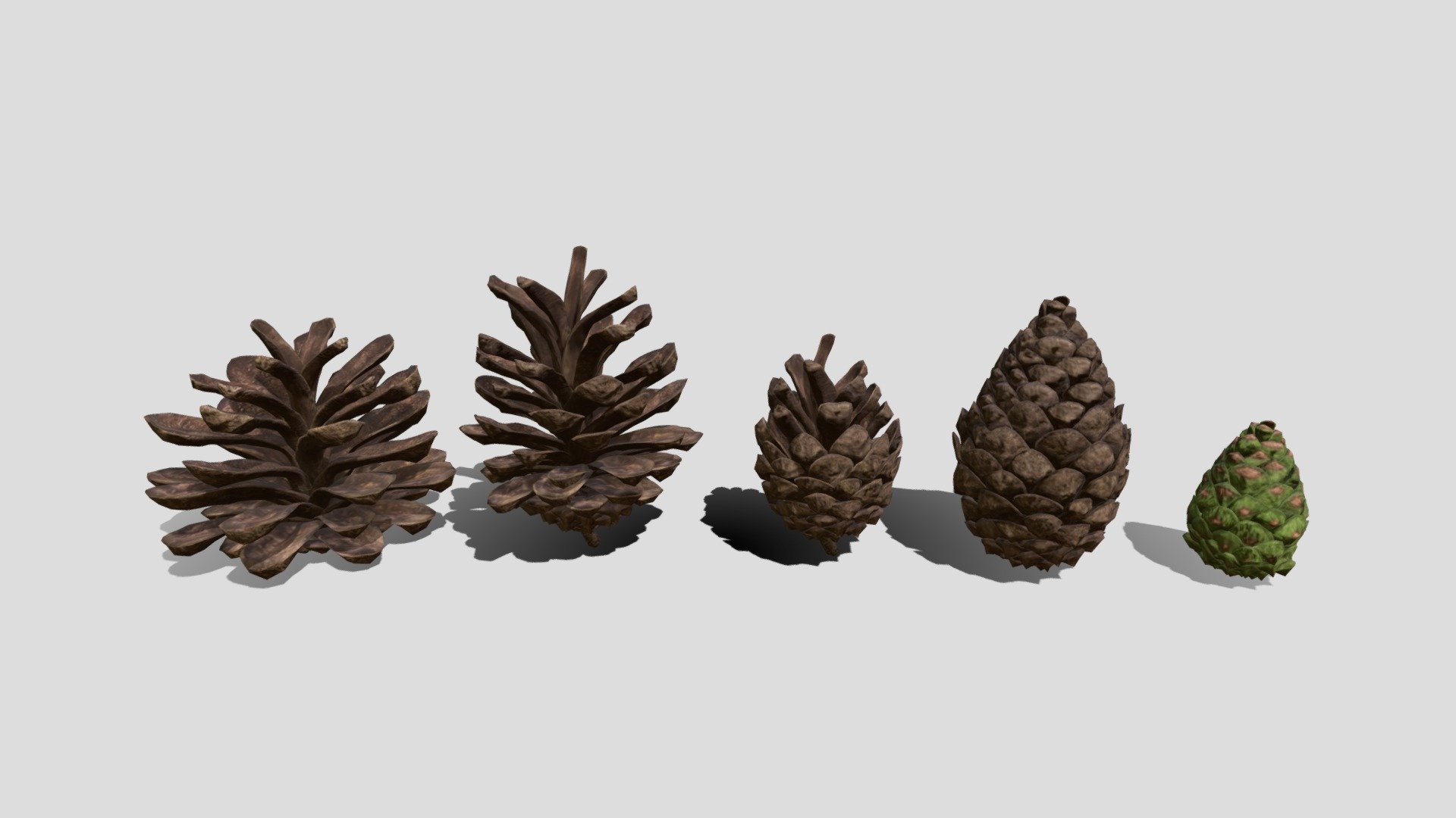 Pine Cone Pack - 3D model by kambur [f86d8d8] - Sketchfab