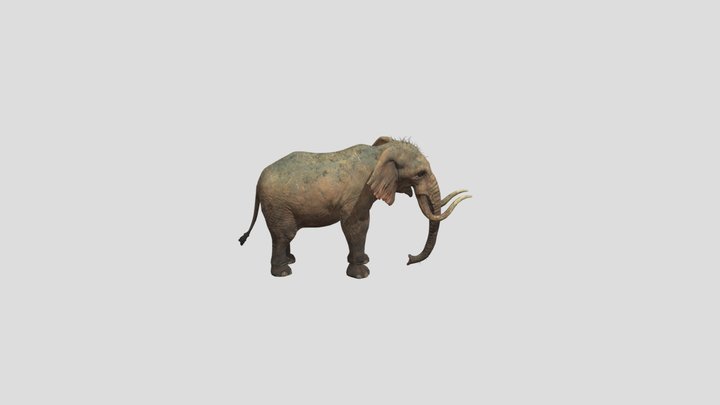 Elephant 3D models - Sketchfab