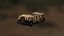Indiana Jones Ride Vehicle - Cubik Studio - 3D model by slinx [f87b0c0 ...