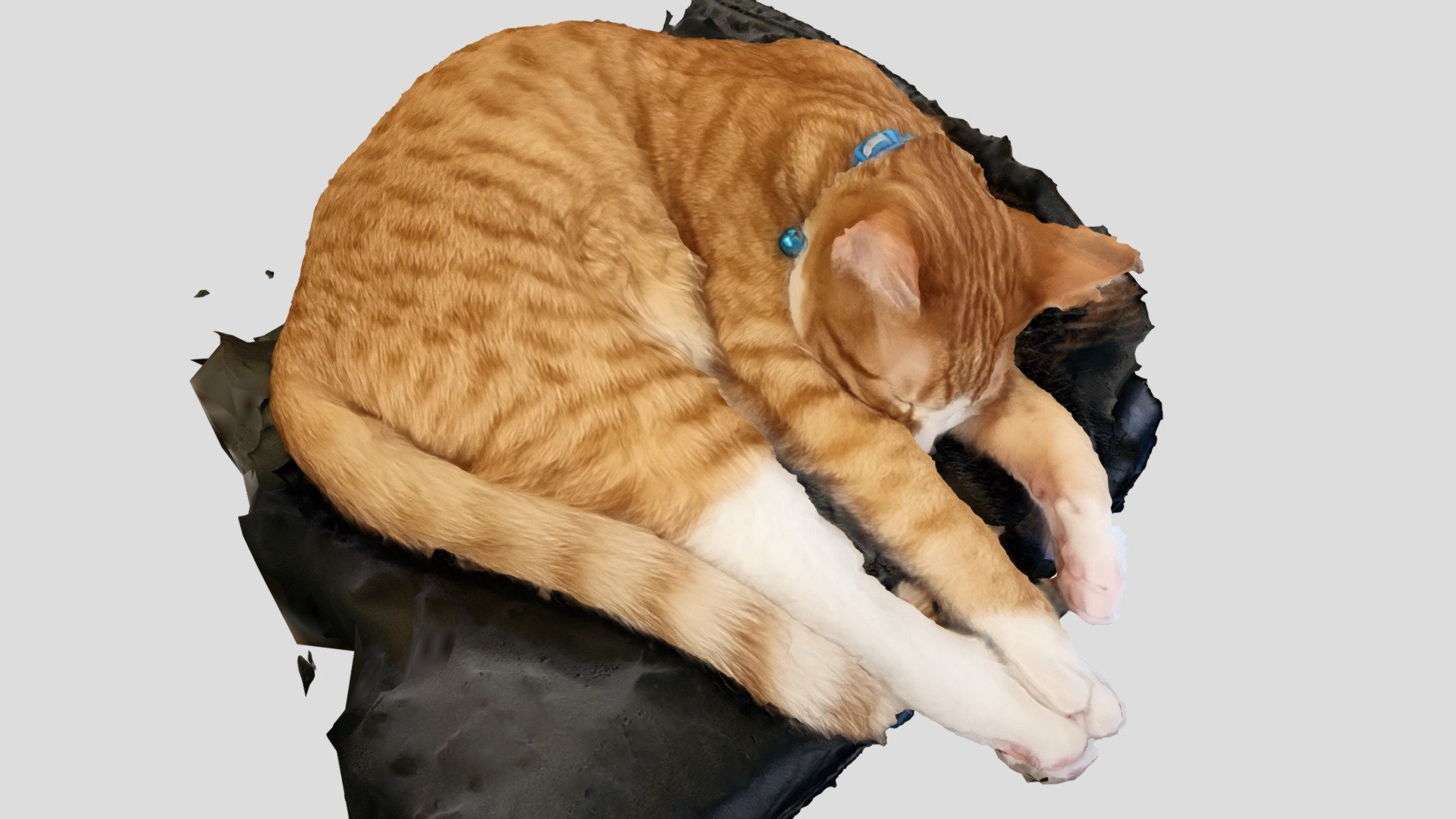 Sleeping Cat - Download Free 3D model by Fyrokid [f8816a2] - Sketchfab