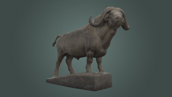 Ox 3D models - Sketchfab