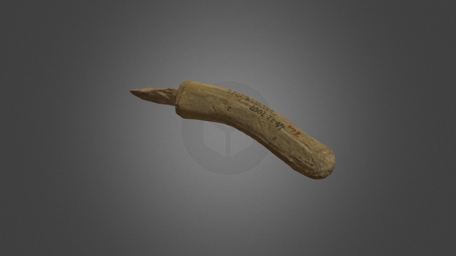 Halfted Chipped Stone Scraper - Download Free 3D model by MSU DHI Lab ...