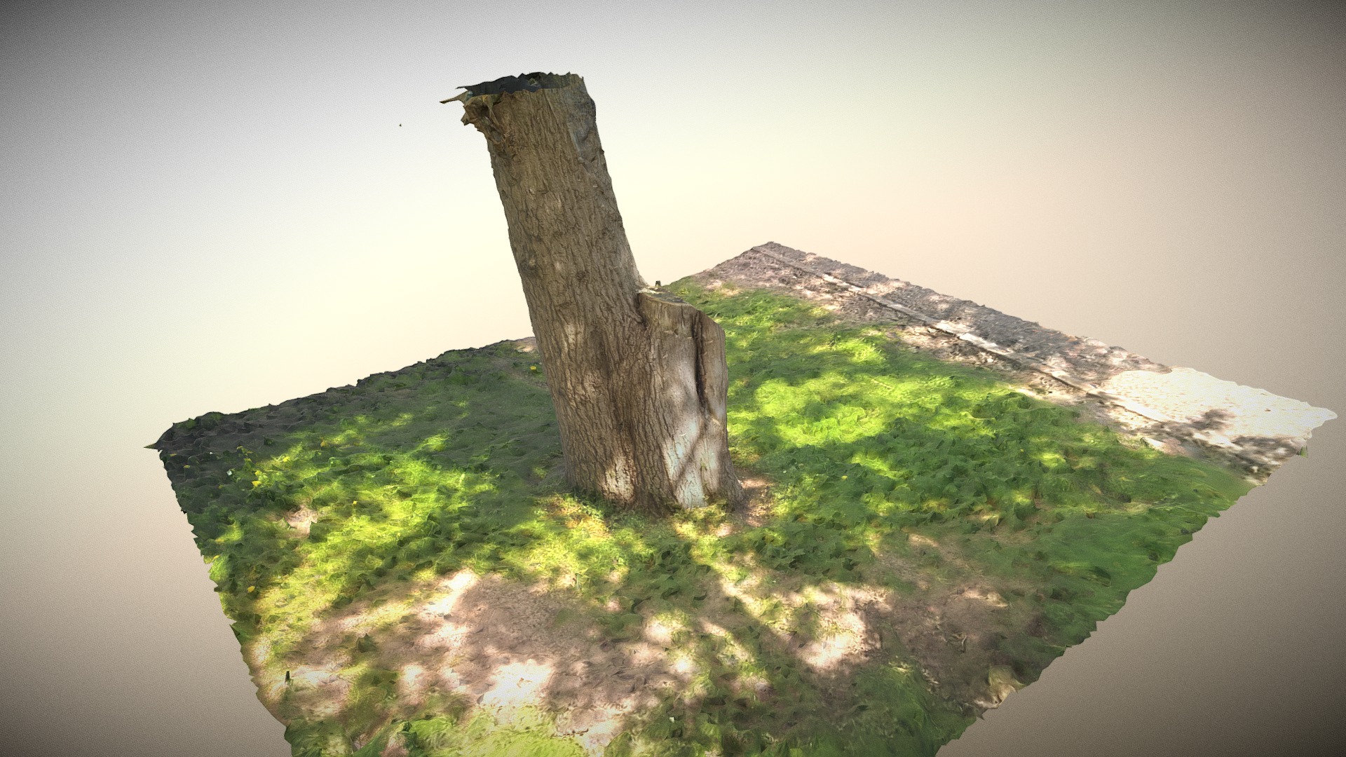 Tree Trunk - 3D model by Daniel Cork (@cerberus01) [f89fae2] - Sketchfab