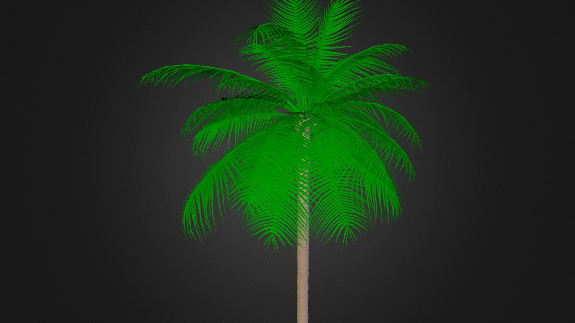 Plam tree test - 3D model by Marcus Tylor (@marcustylor) [f8a64b4 ...