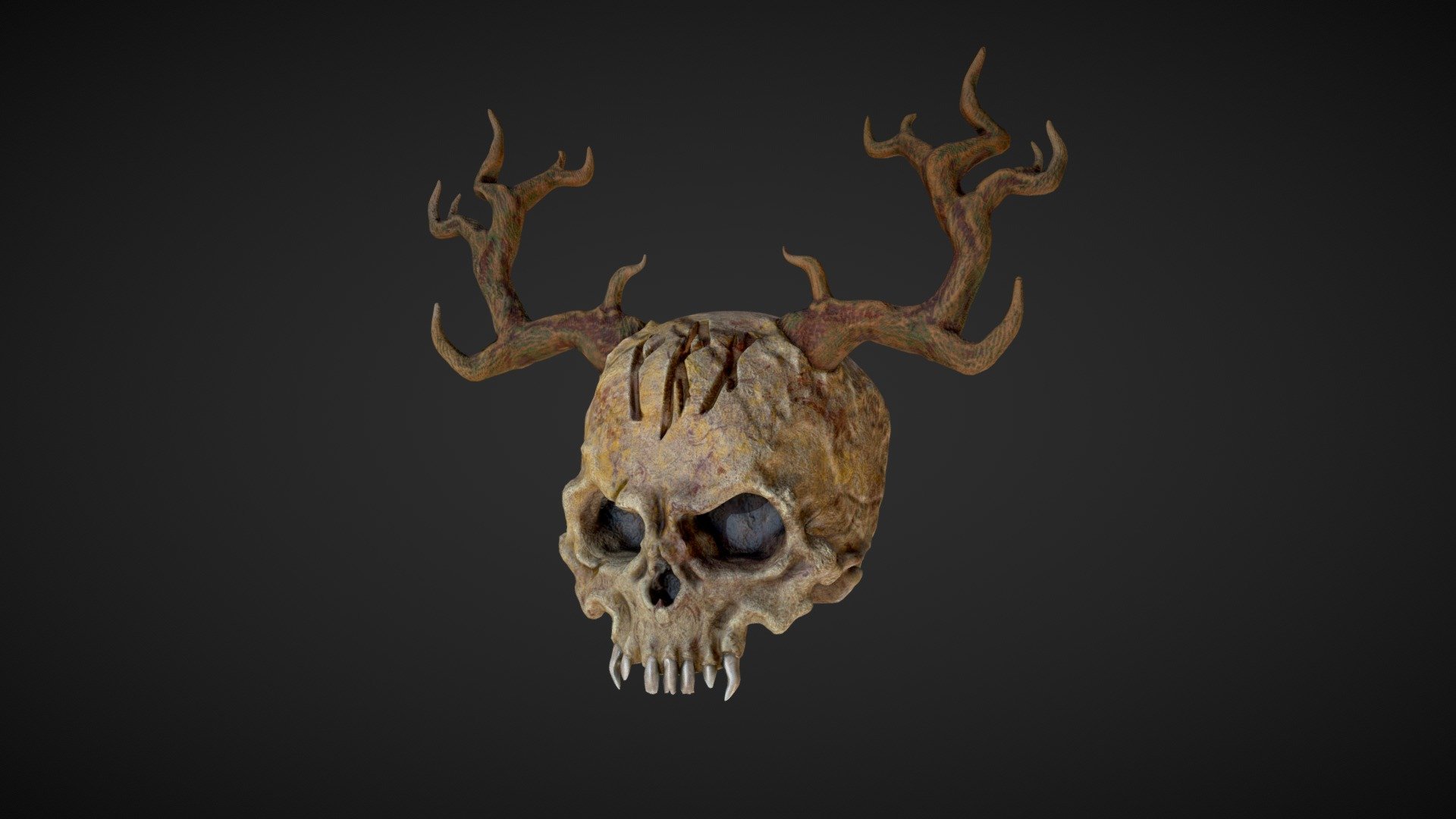 Heathen Skull - Download Free 3D model by Mamba_Negra [f8afa50] - Sketchfab