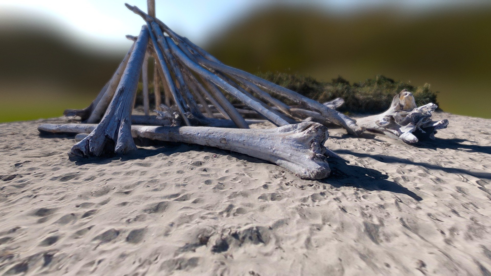 Teepee By The Sea in NB - Download Free 3D model by Air Digital ...