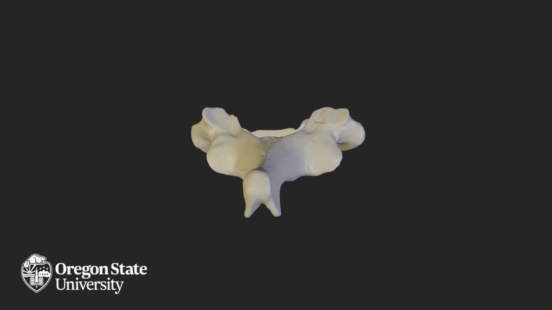 C7 - Download Free 3D model by Oregon State University | Ecampus ...