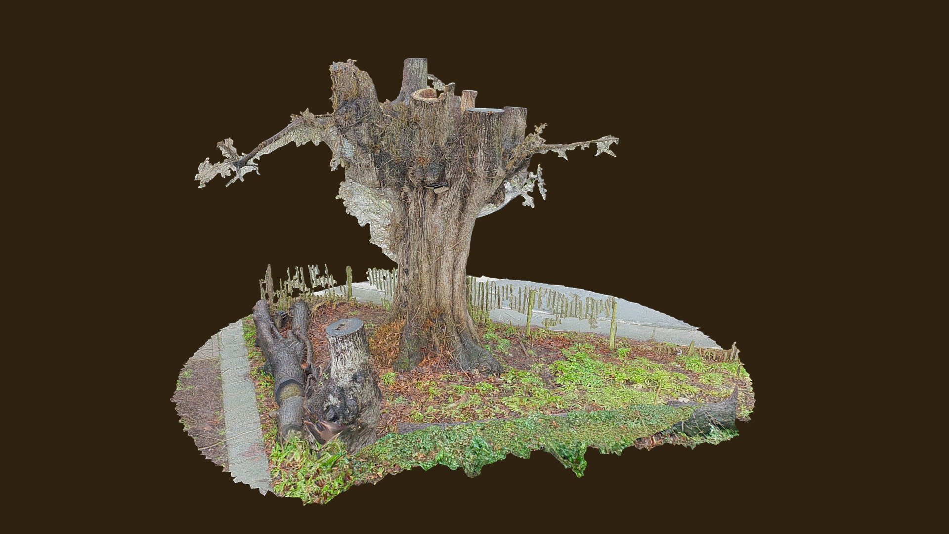 7sacramenten-boom - 3D model by JohanVL [f8b5937] - Sketchfab
