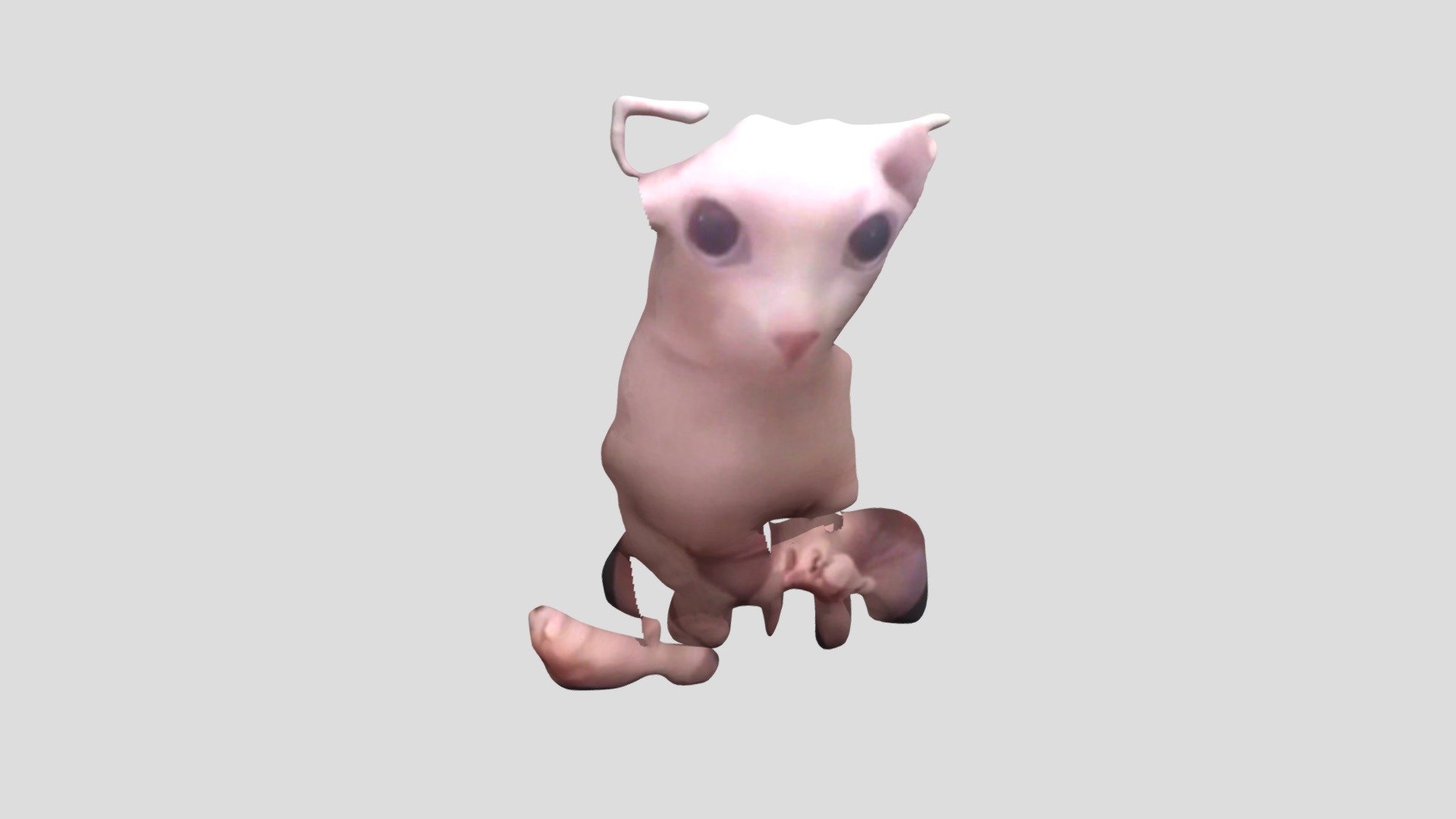 Bingus - Download Free 3D model by dudoknazar13 [f8c07e1] - Sketchfab