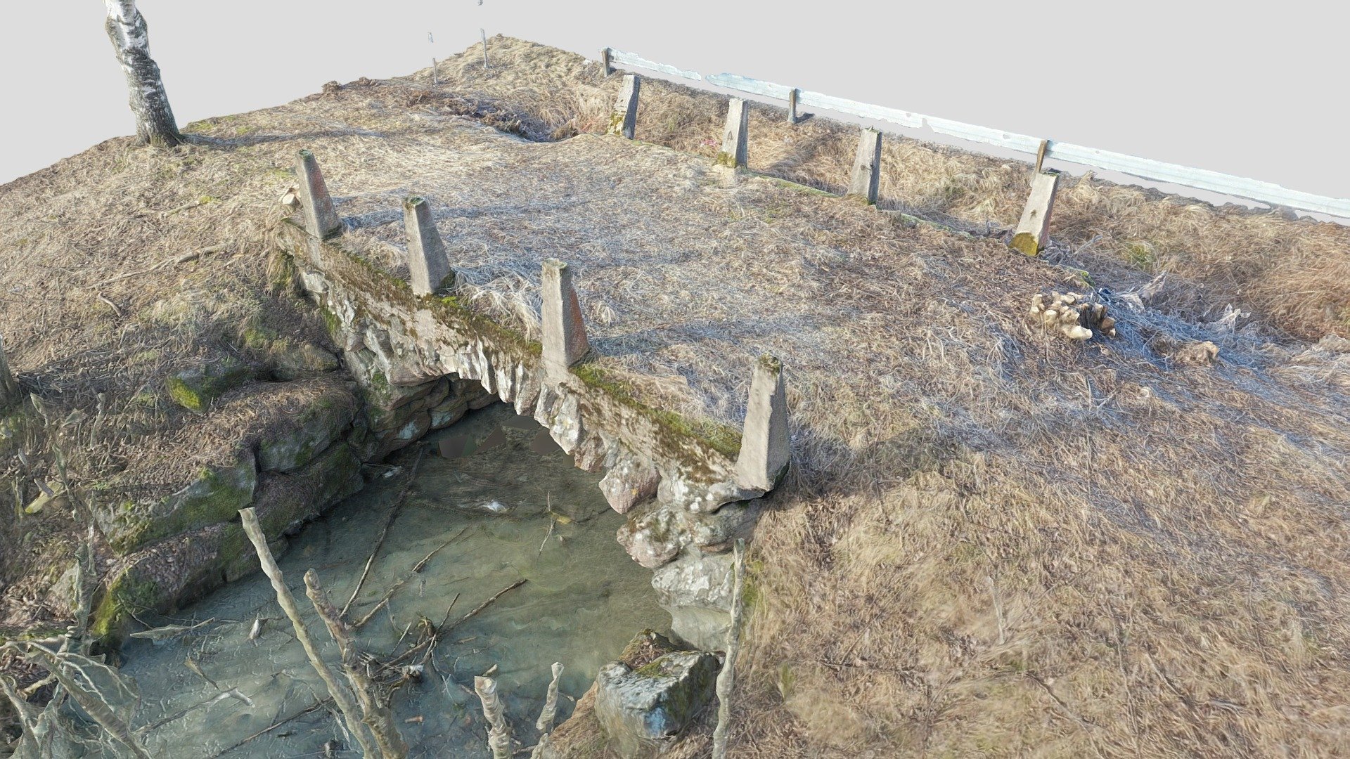 Overgrown Bridge - Photogrammetry Scan - 3D model by aqpetteri [f8caf25 ...