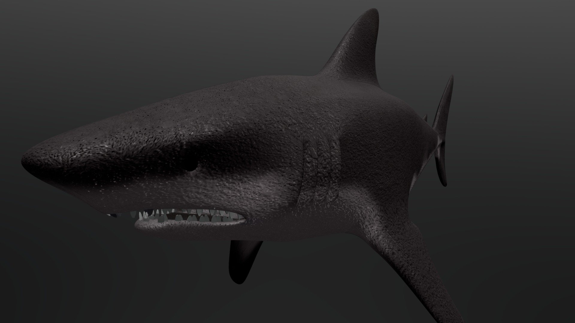 Shark - Download Free 3D model by CanYuTsai (@canyutsai1) [f8cbb14 ...