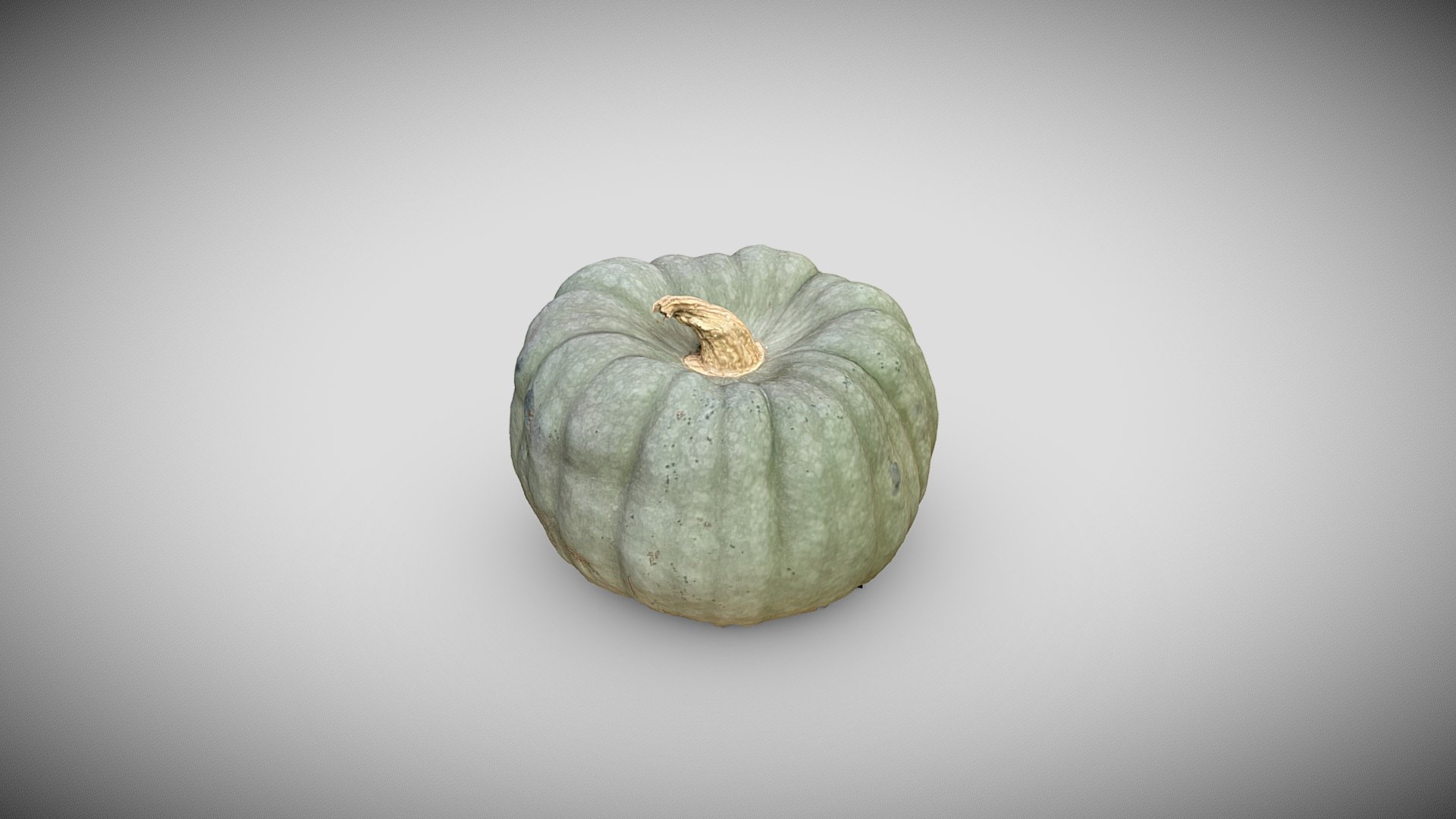 Pumpkin - Download Free 3D model by M Parkinson (@chimaera_studio ...